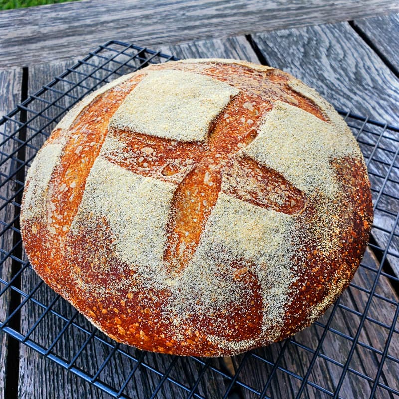 Open Oven Bakery – Fresh breads and healty crackers